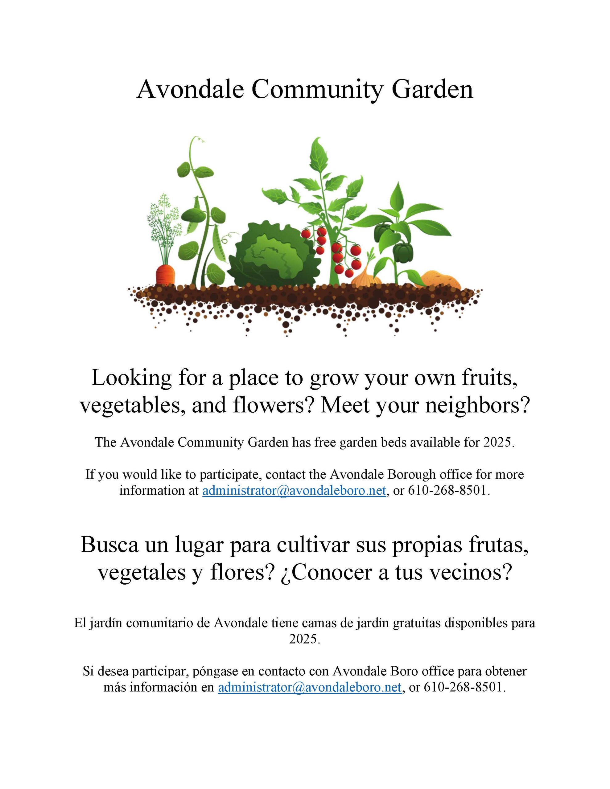 Avondale Community Garden/Jardín comunitario de Avondale – Avondale Borough