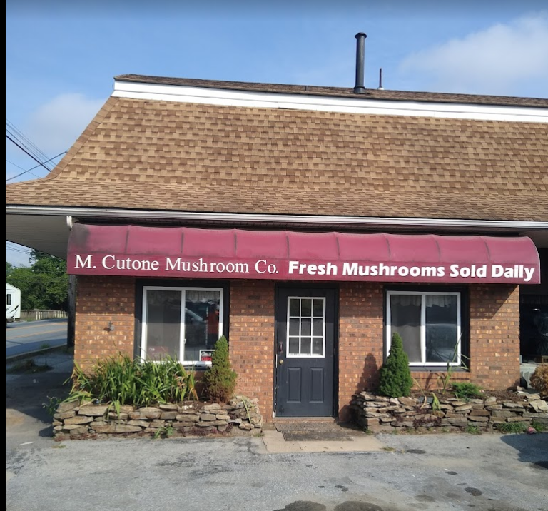 Business Directory – Avondale Borough